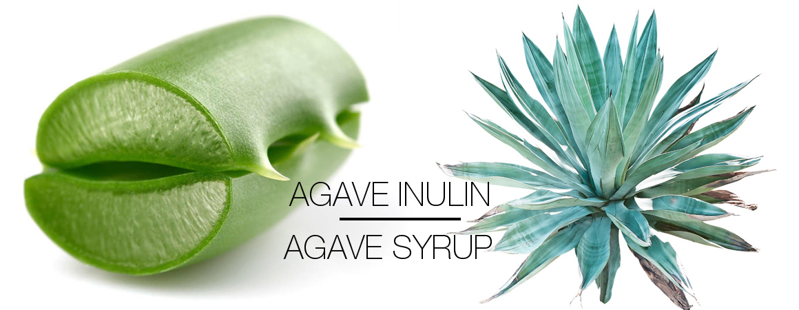 Functional ingredients - America Natural Ingredients